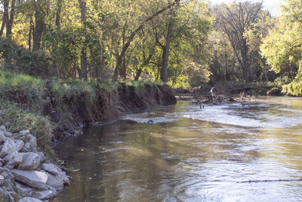Neighborhood Collaboration Protects Land, Evaluates Streambank Erosion ...